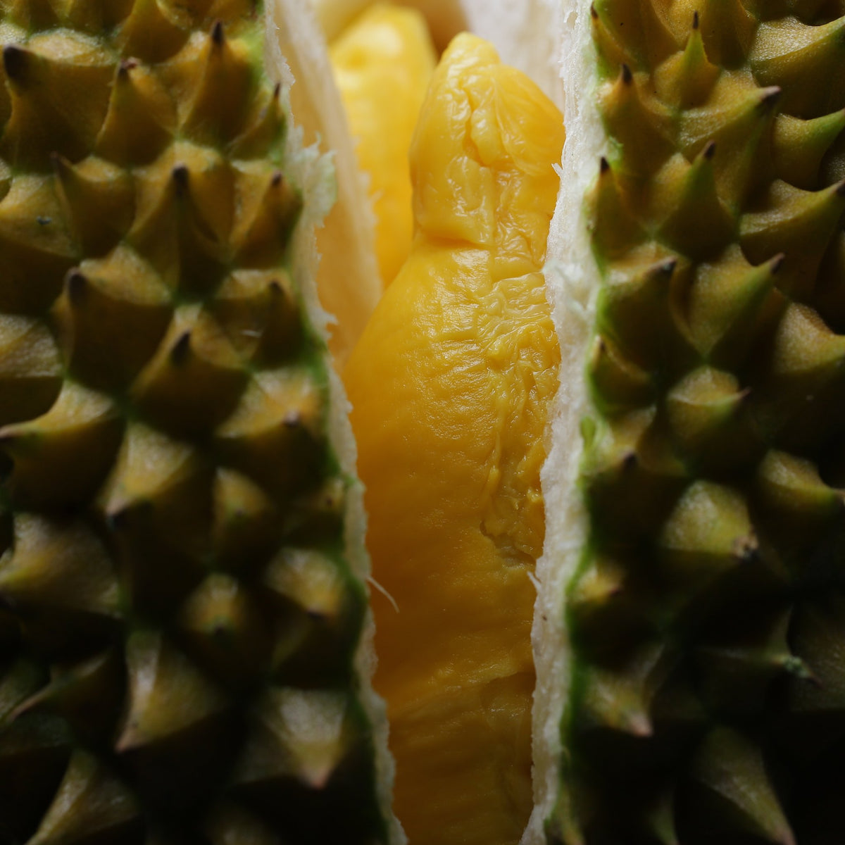 Coming Soon – The Thorny Fruit Co