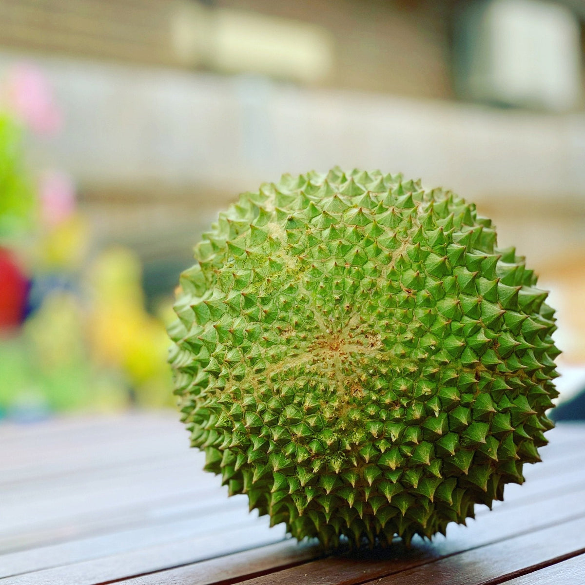 For Durian Lovers - The Thorny Fruit Co – Tagged "Malaysian Durian"