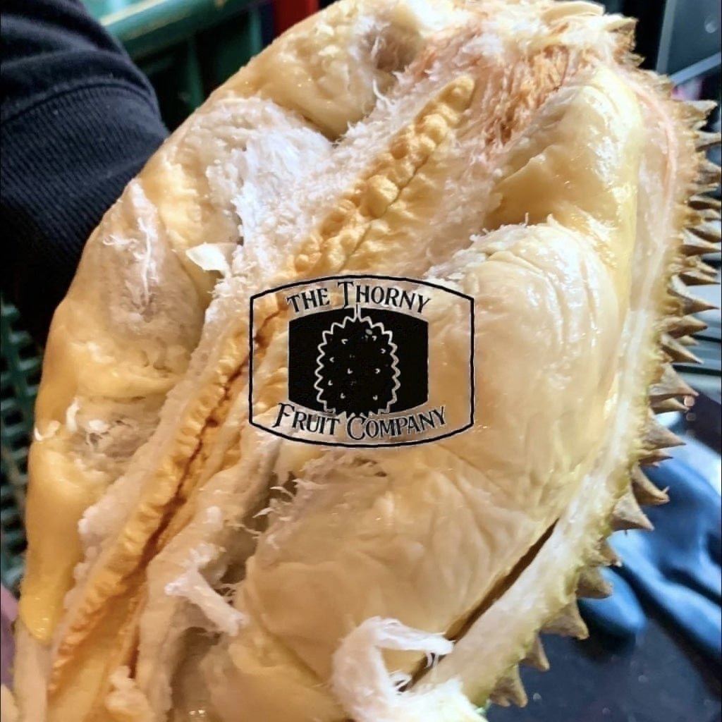 [EXCLUSIVE] Frozen Whole Tekka / Musang Queen D160 Durian – The Thorny ...