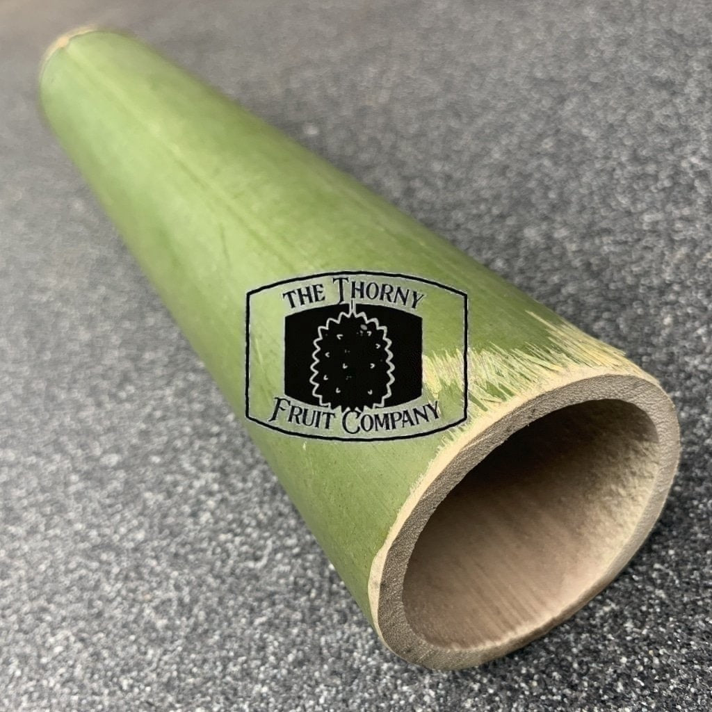 Fresh QLD Bamboo. Buluh. Bumbong – The Thorny Fruit Co