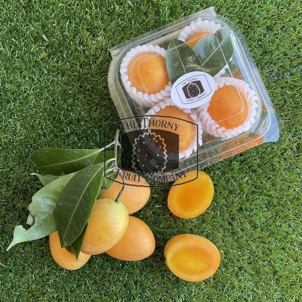 [LIMITED] Fresh Maprang. Mayong Chit. Gandaria. Buah Kundang. Mango Pl – The Thorny Fruit Co